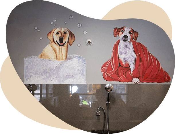 Luxurious Dog Spa - Doggy Ville The Canine Club